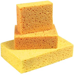 Eponge & Abrasif | Professionnel